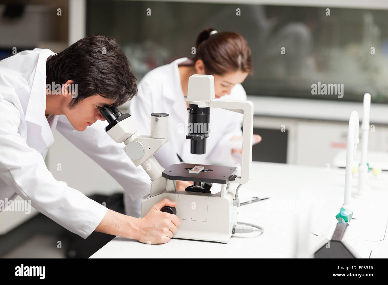 Serious science students using a microscope Stock Photo - Alamy