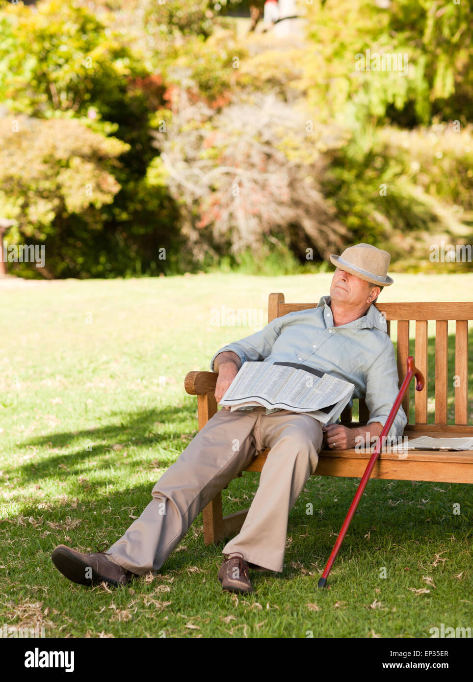 Senior man sleeping on the bench Stock Photo - Alamy