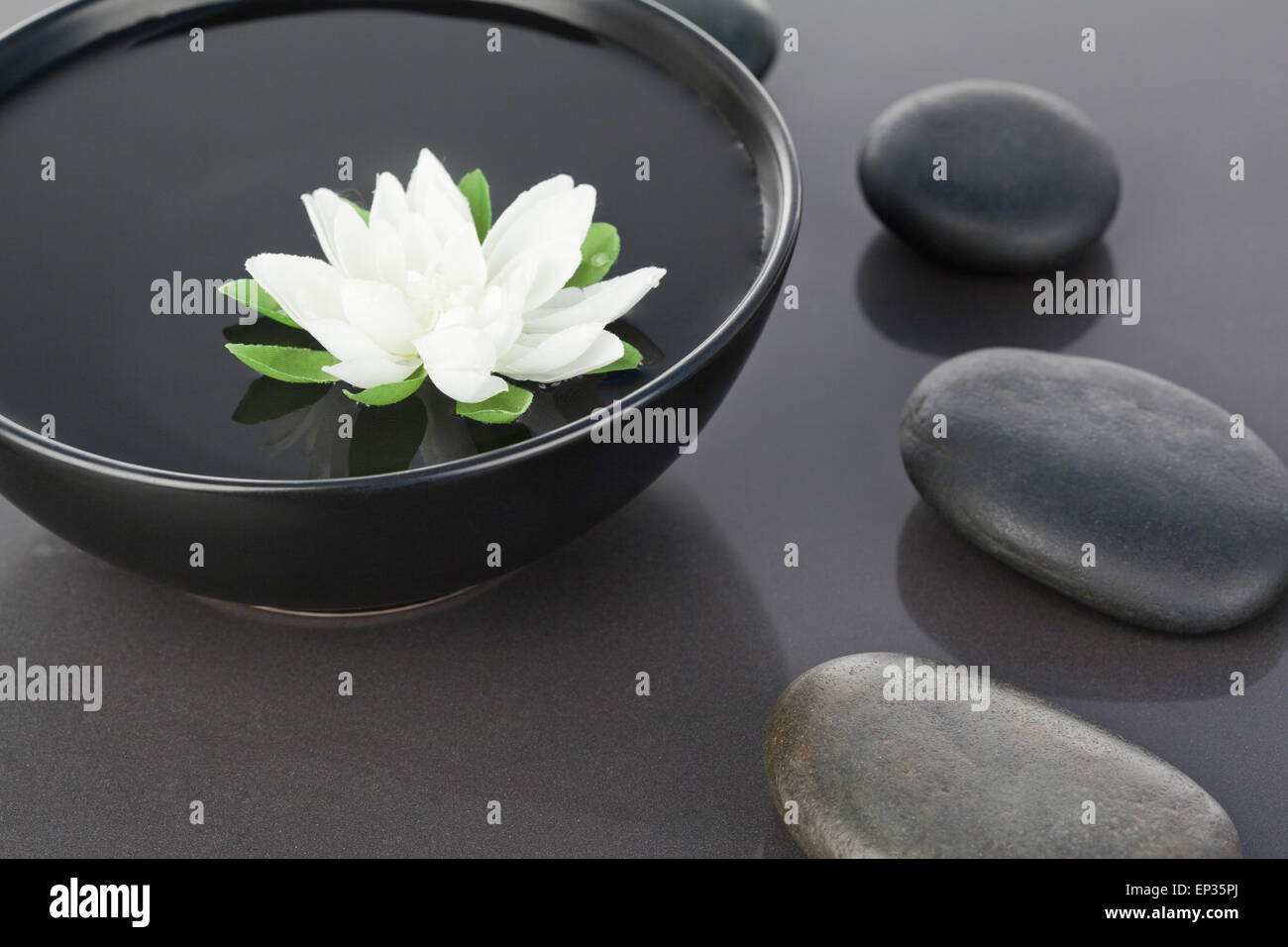White flower floating in a black bowl surrounded by black pebbles Stock ...