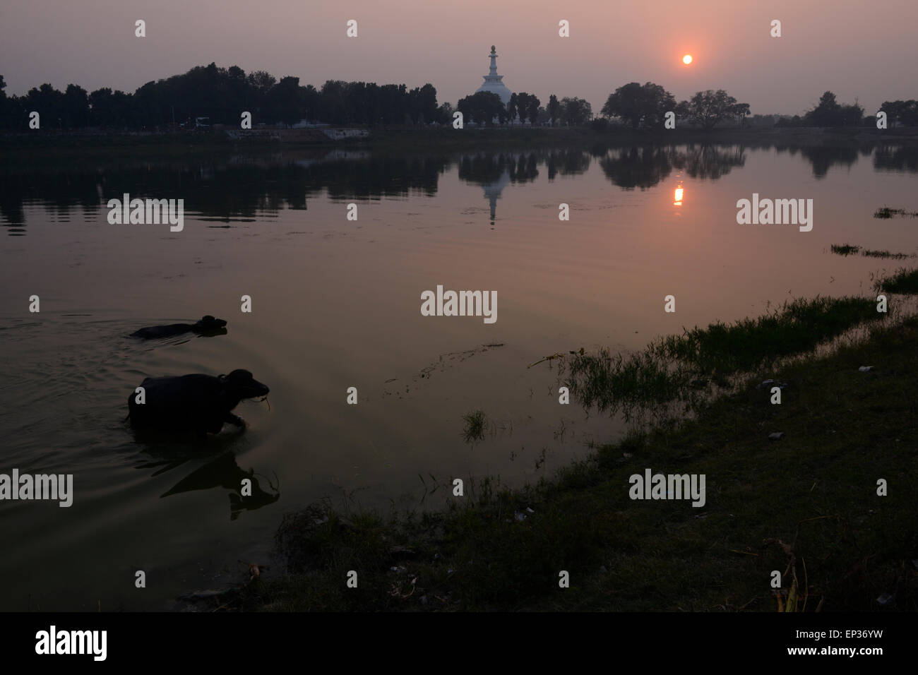 Vaishali india stupa hi-res stock photography and images - Alamy