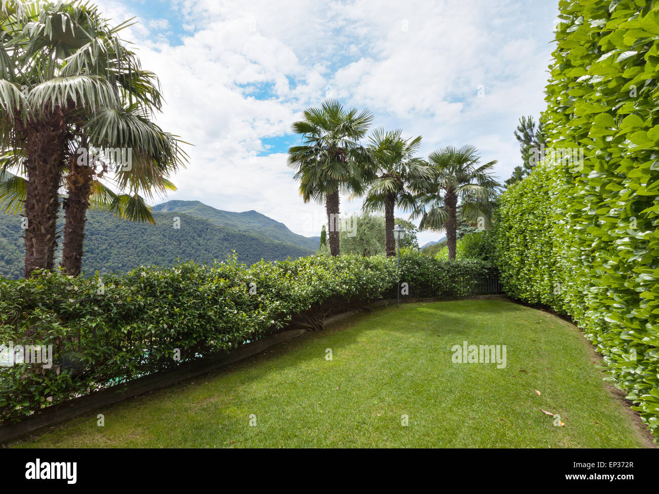 outside, view of a garden with palm trees Stock Photo - Alamy