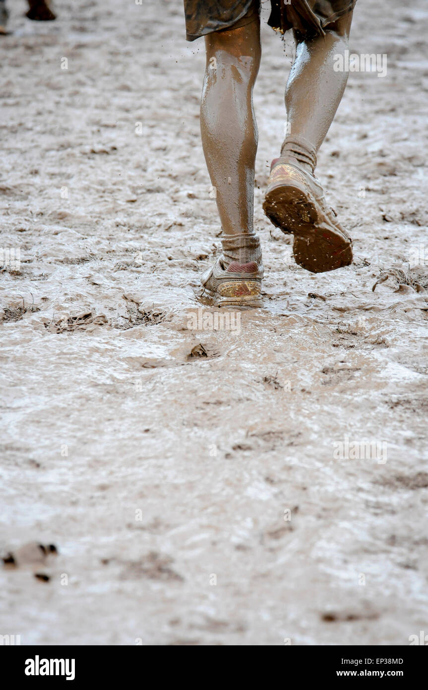 Muddy legs and running shoes in mud at obstacle course race Stock Photo ...