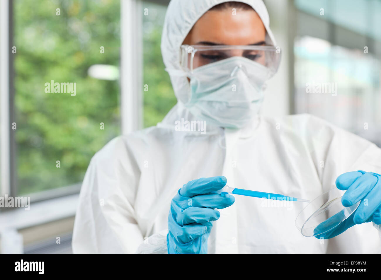 Protected female science student dropping blue liquid in a Petri Stock ...
