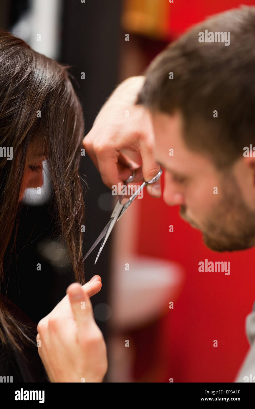 Portrait of a male hairdresser cutting hair Stock Photo - Alamy