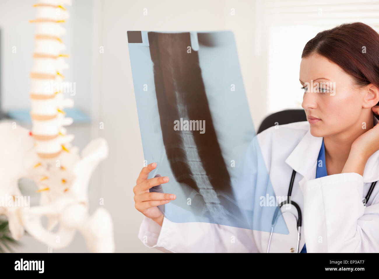 Female doctor looking at x-ray Stock Photo - Alamy