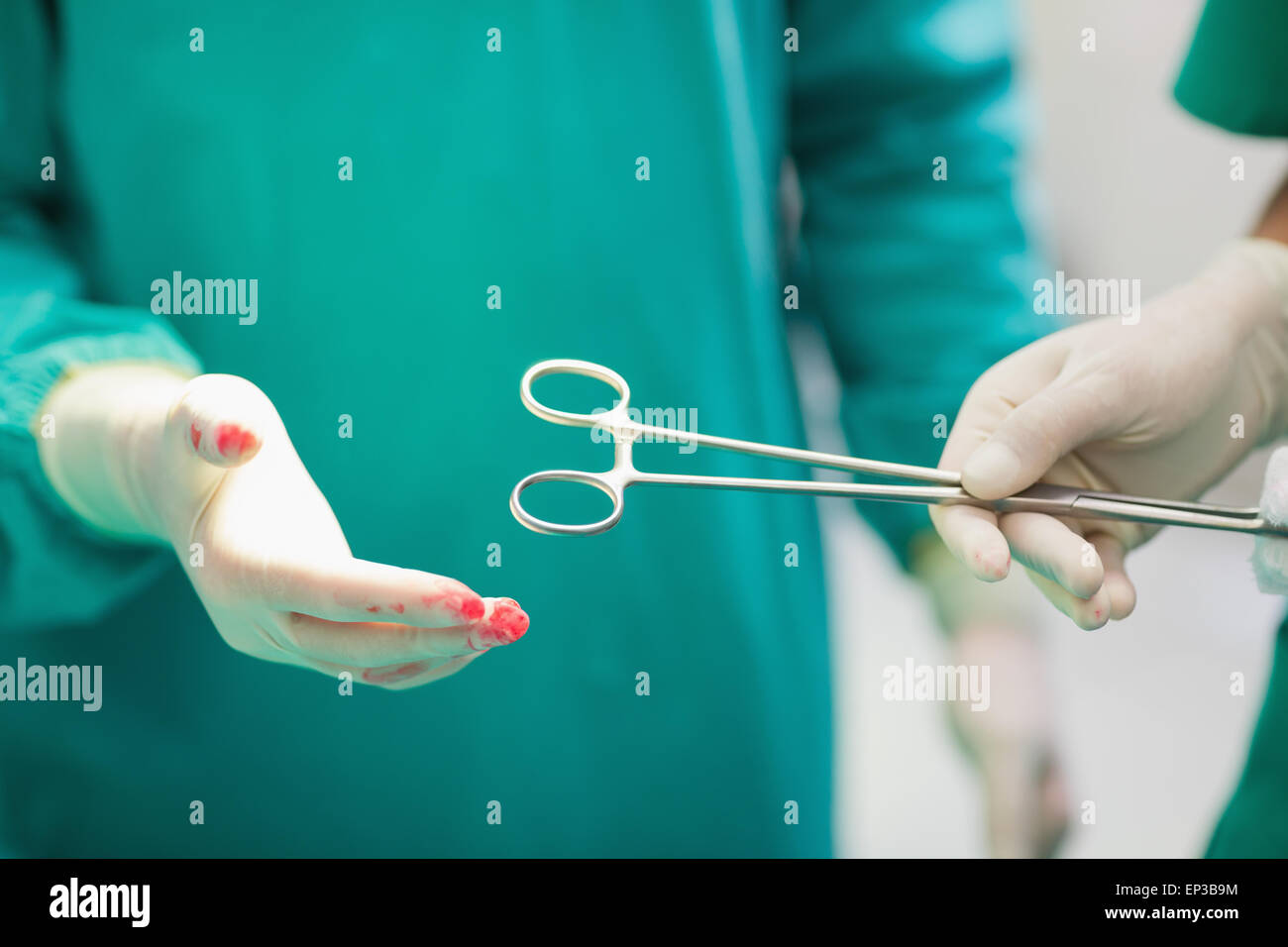 Close up of a nurse giving a surgical compress Stock Photo - Alamy