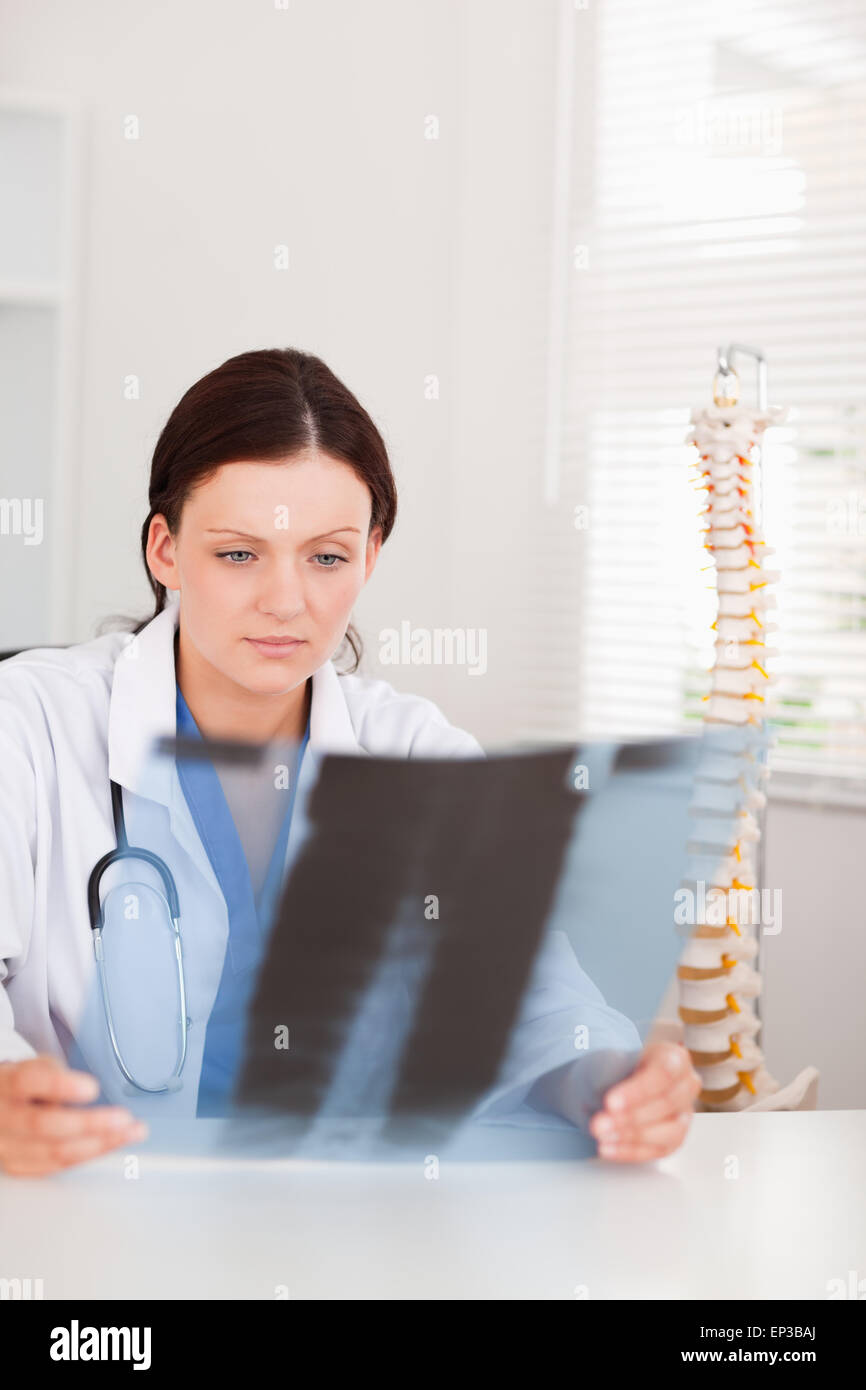 Female doctor looking at x-ray Stock Photo - Alamy