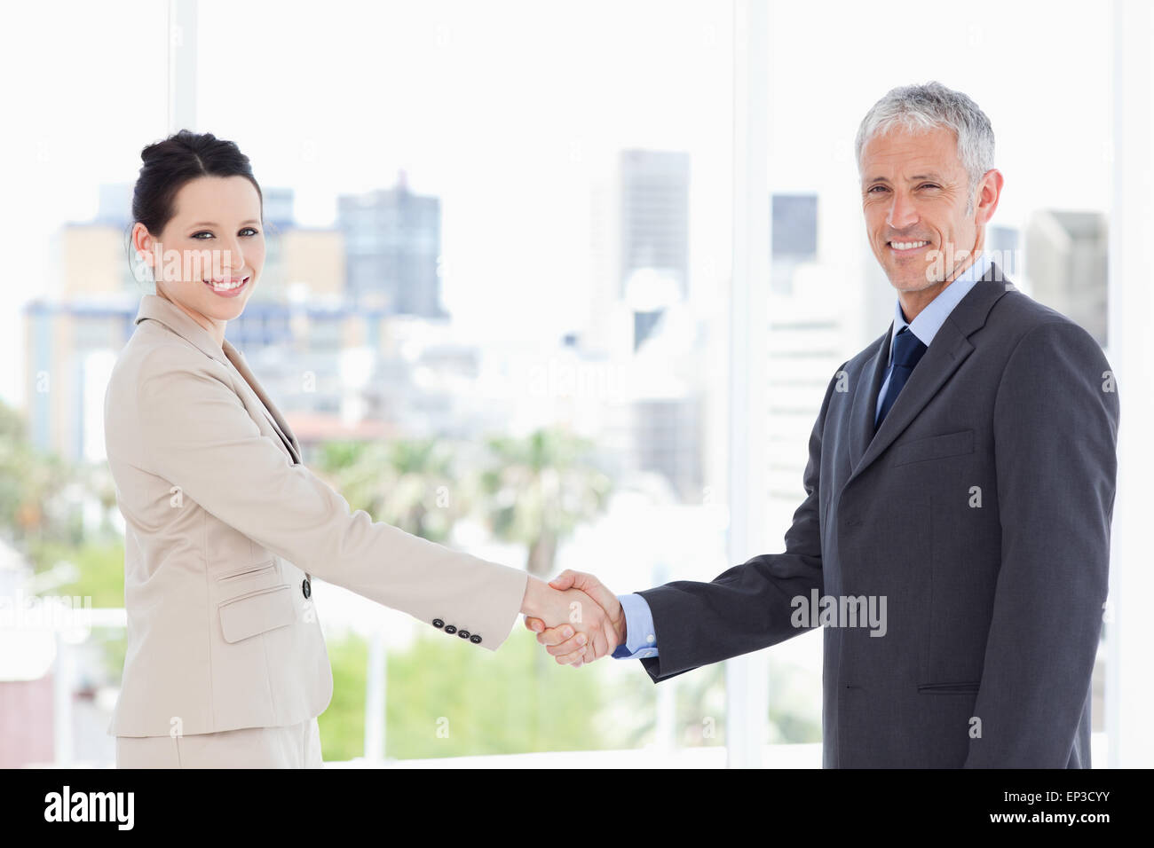 Smiling business people shaking hands while looking at the camera Stock ...