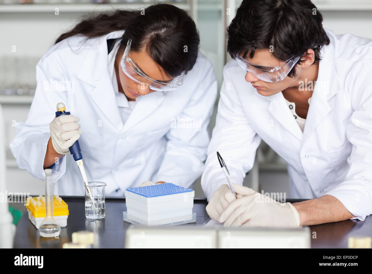 Focused science students making an experiment Stock Photo - Alamy