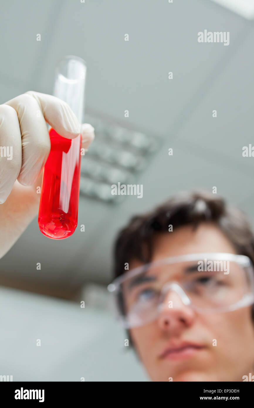 Portrait of a scientist looking at a test tube Stock Photo - Alamy