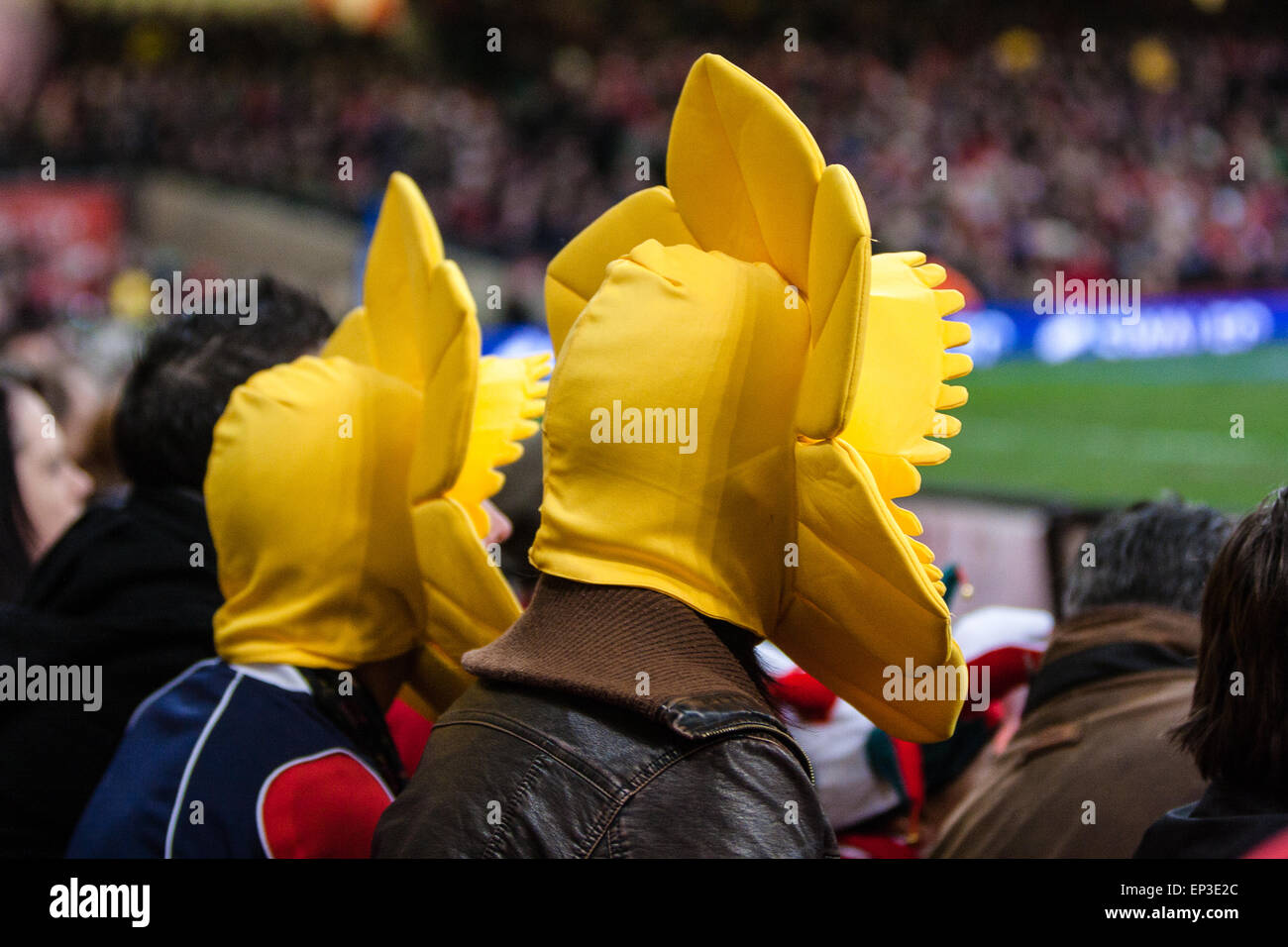 Dressed as a daffodil hi-res stock photography and images - Alamy