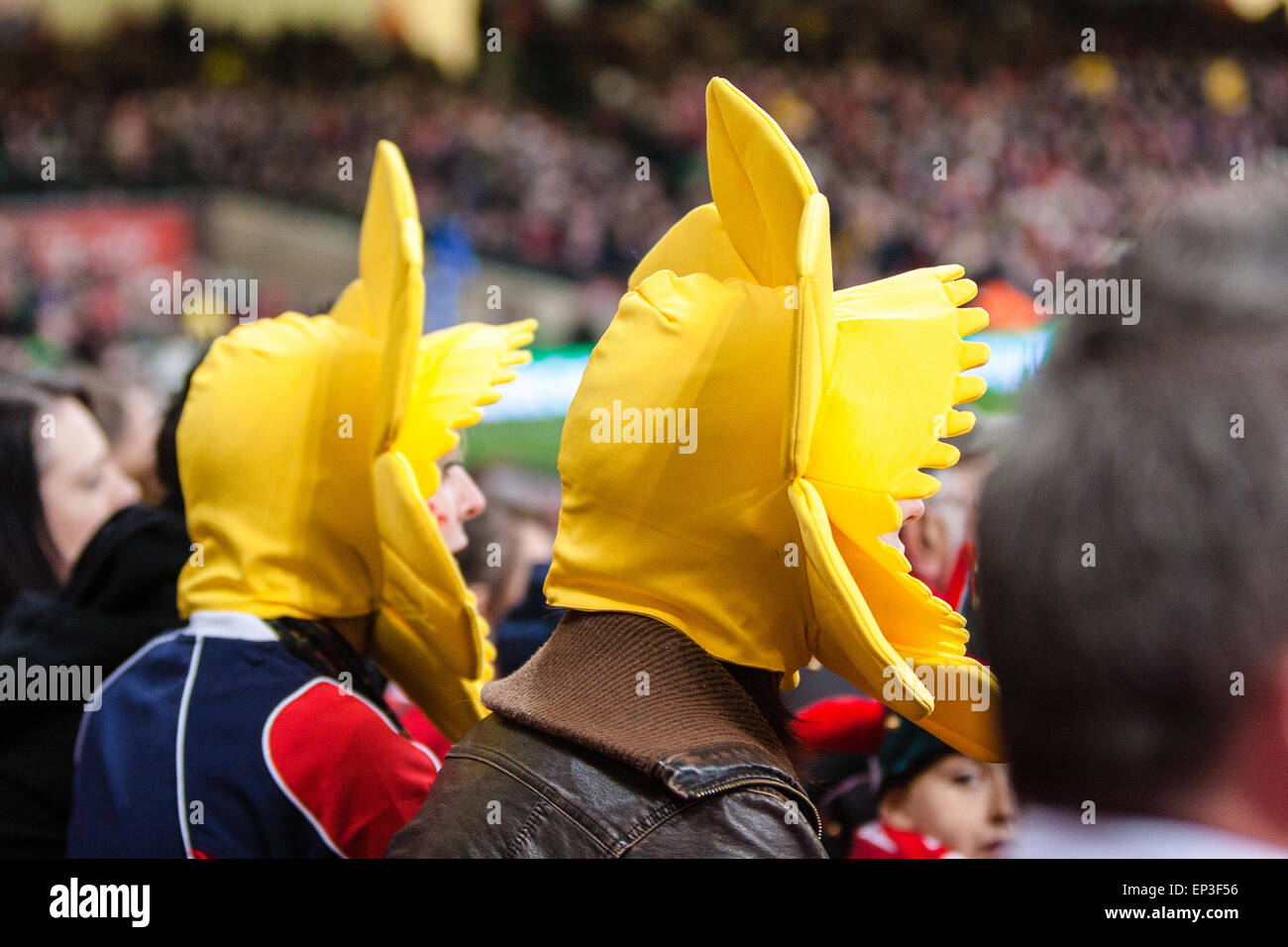 Welsh rugby fans cheer hi-res stock photography and images - Alamy