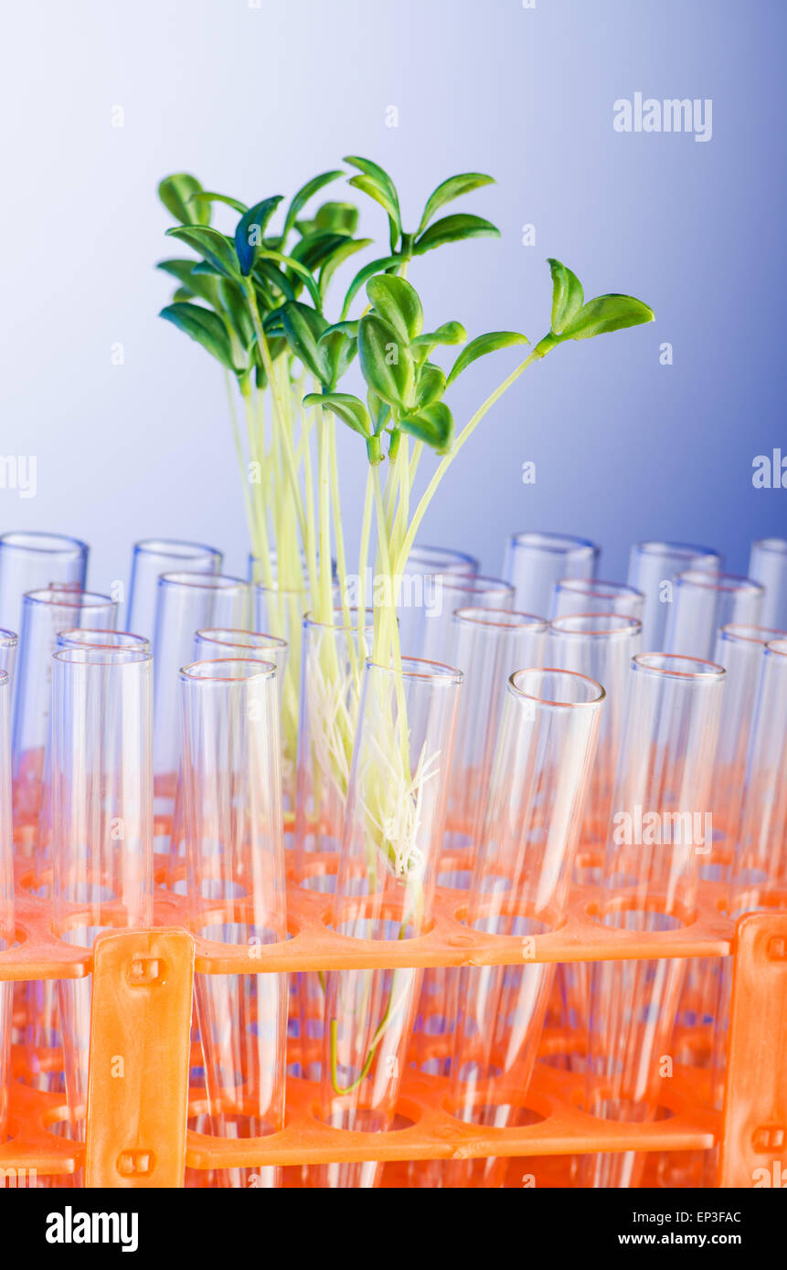 Green laboratory sustainability hi-res stock photography and images - Alamy