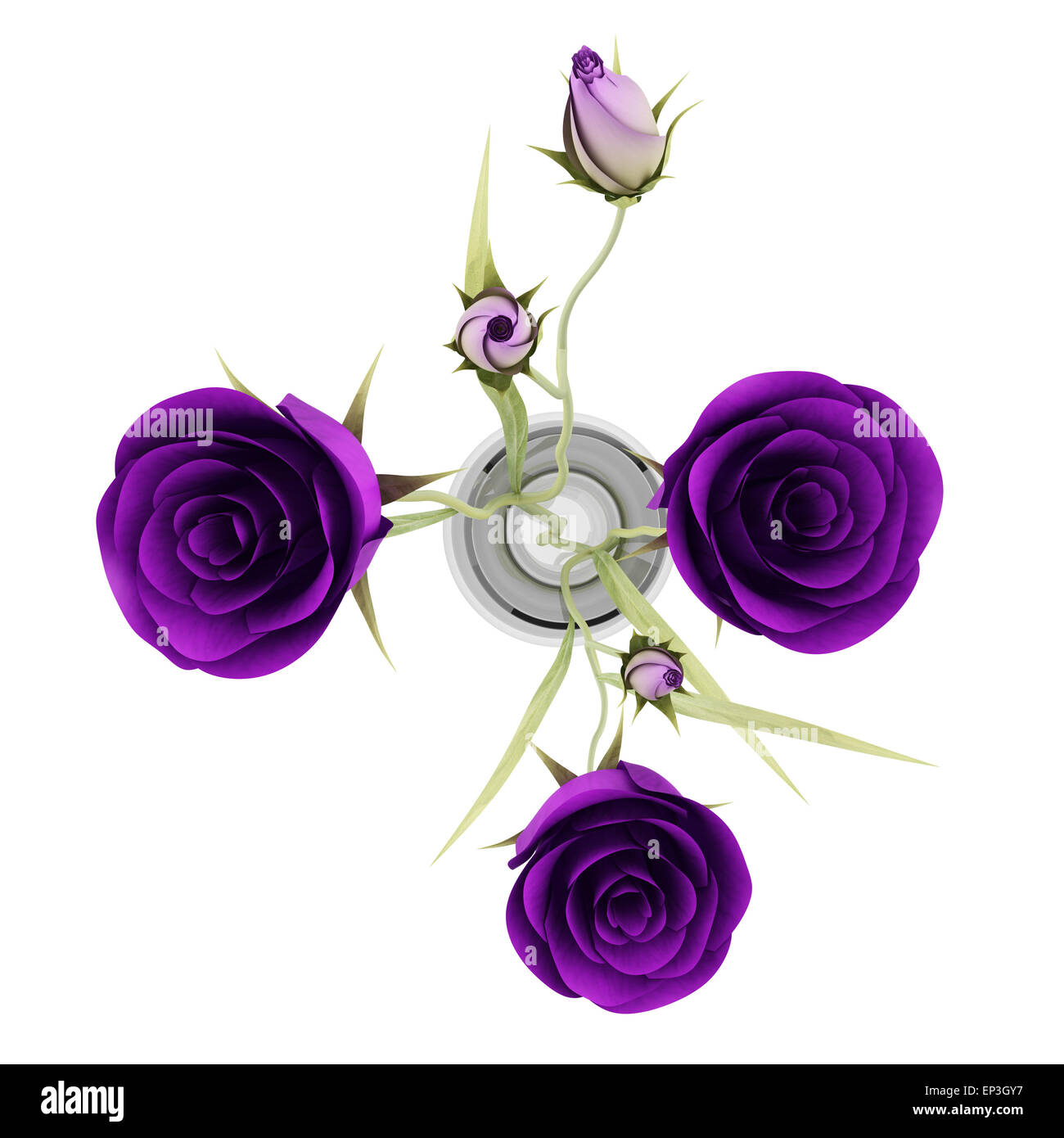 Top view purple flower in hi-res stock photography and images - Alamy