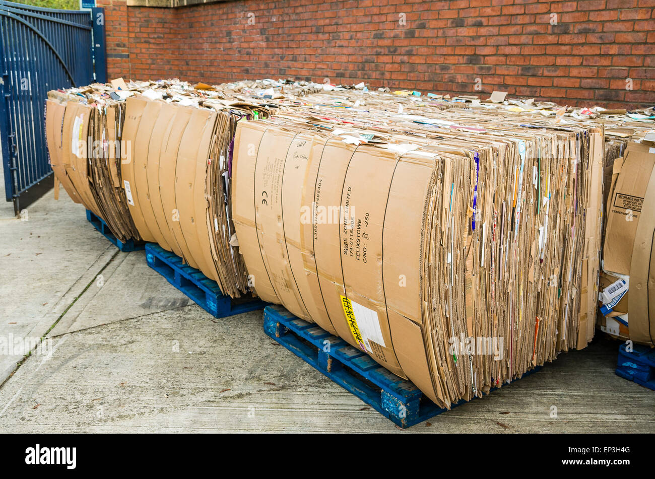 Stacks of used cardboard cartons on pallets ready for recycling in UK ...