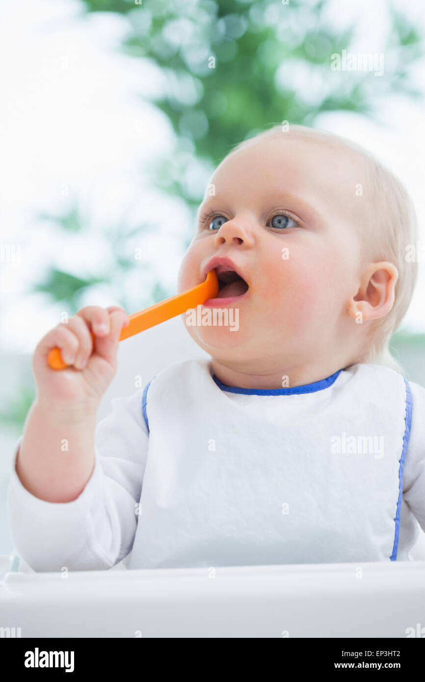 Baby holding a plastic spoon while putting it in his mouth Stock Photo ...