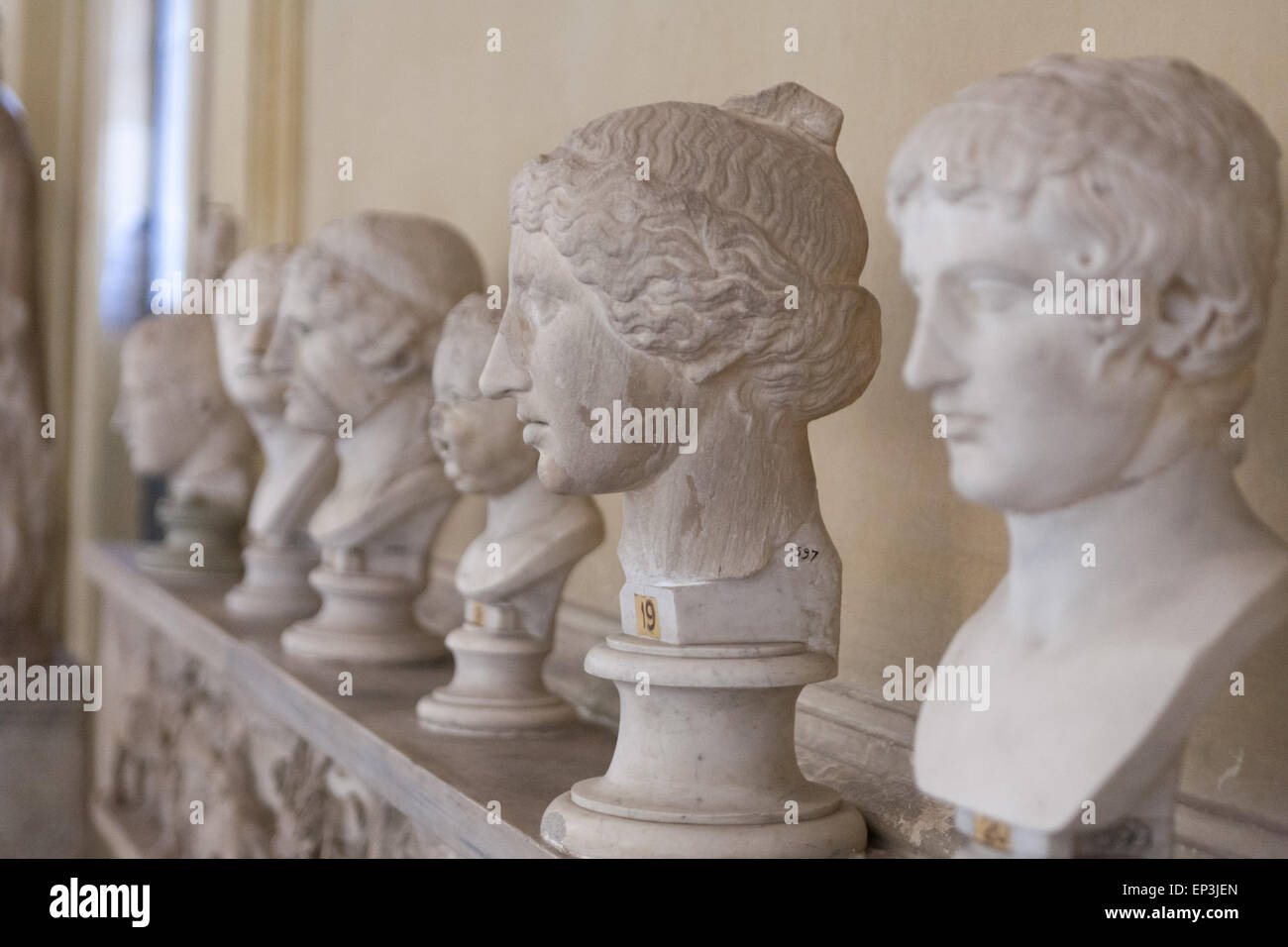 Marble heads in Vatican Museums, Rome, Italy Stock Photo - Alamy