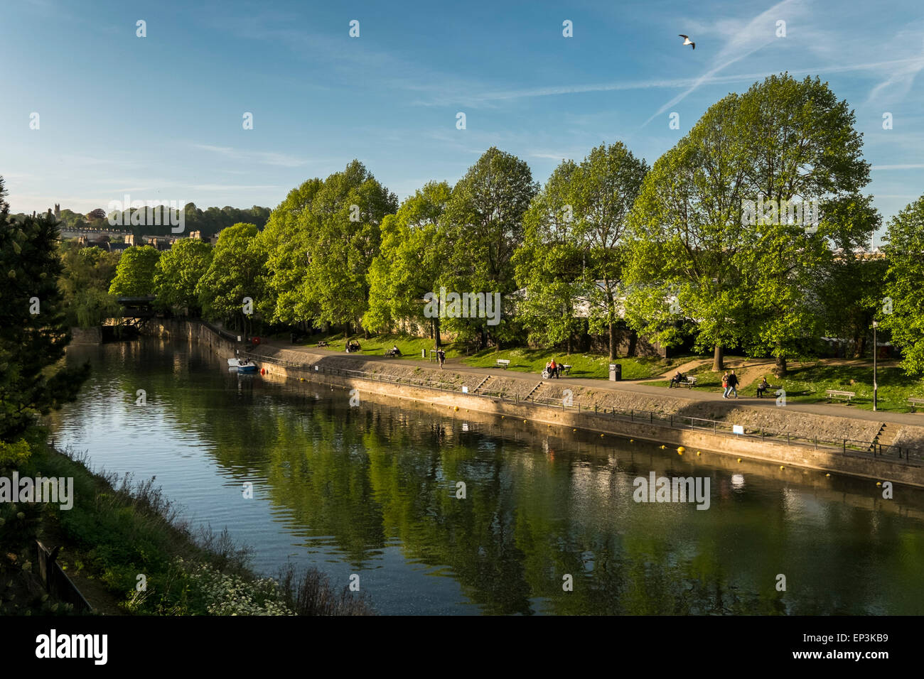 Parade Gardens Park in Bath, Somerset, Britain, UK Manicured weirside ...