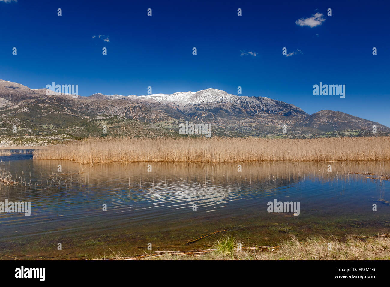 Stymfalia lake in Corinthia prefecture, Greece with the snowy mountains ...