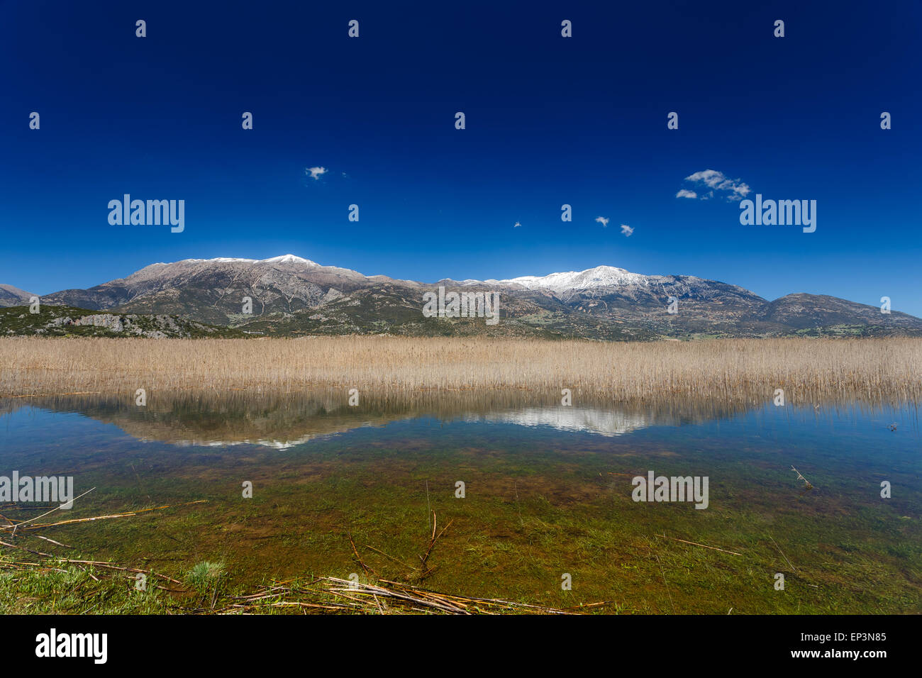 Stymfalia lake in Corinthia prefecture, Greece with the snowy mountains ...