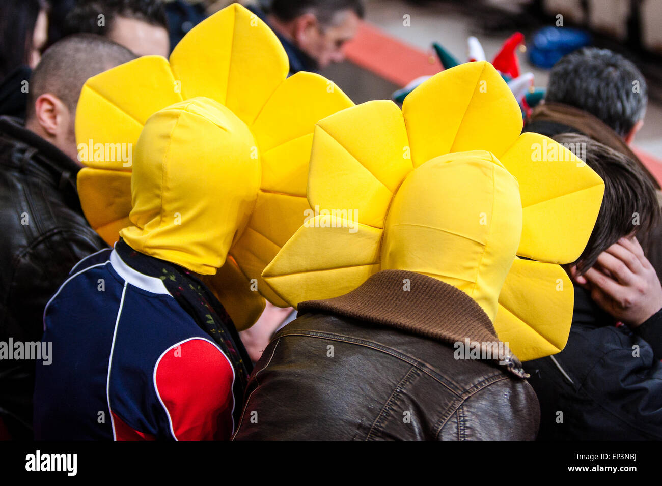 Wales fan daffodil hat hi-res stock photography and images - Alamy