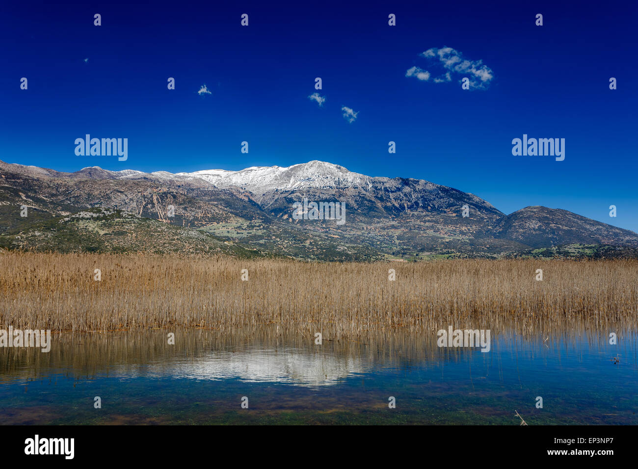 Stymfalia lake in Corinthia prefecture, Greece with the snowy mountains ...