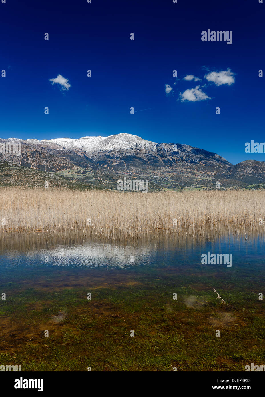 Stymfalia lake in Corinthia prefecture, Greece with the snowy mountains ...