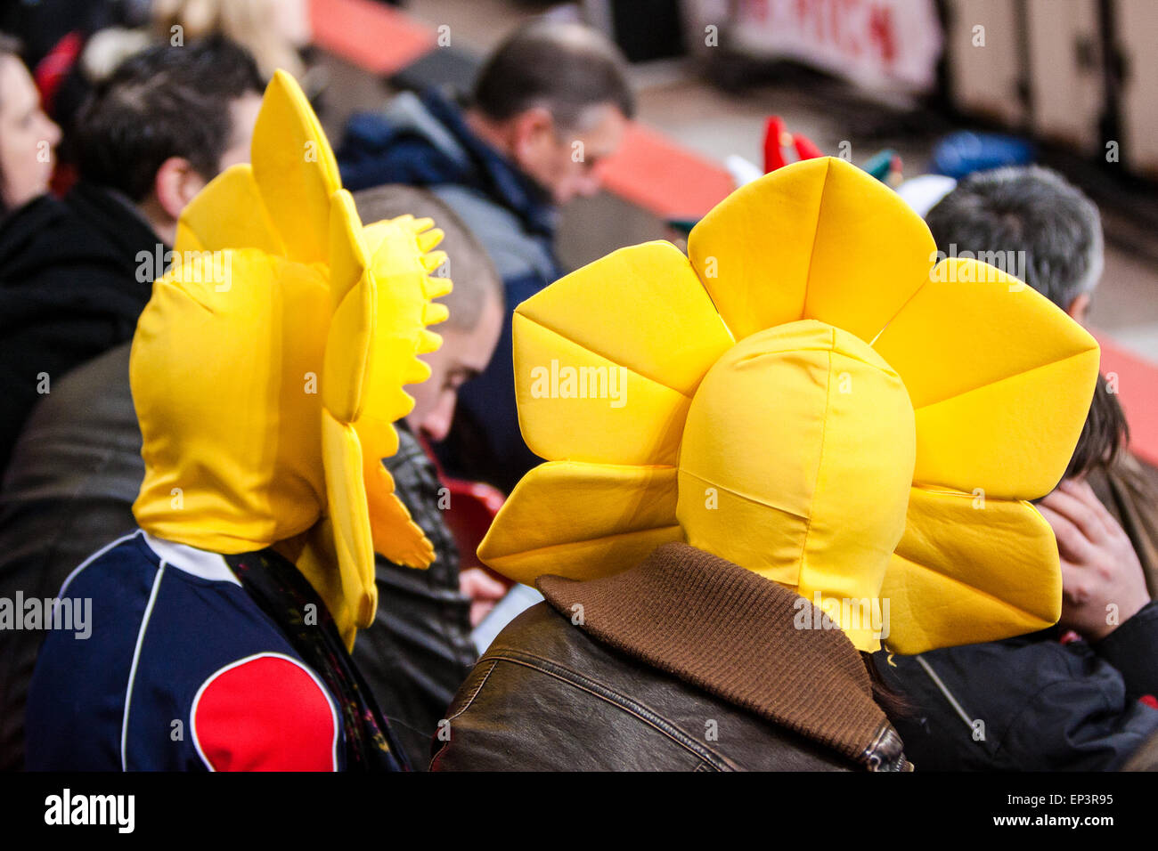 Dressed as a daffodil hi-res stock photography and images - Alamy
