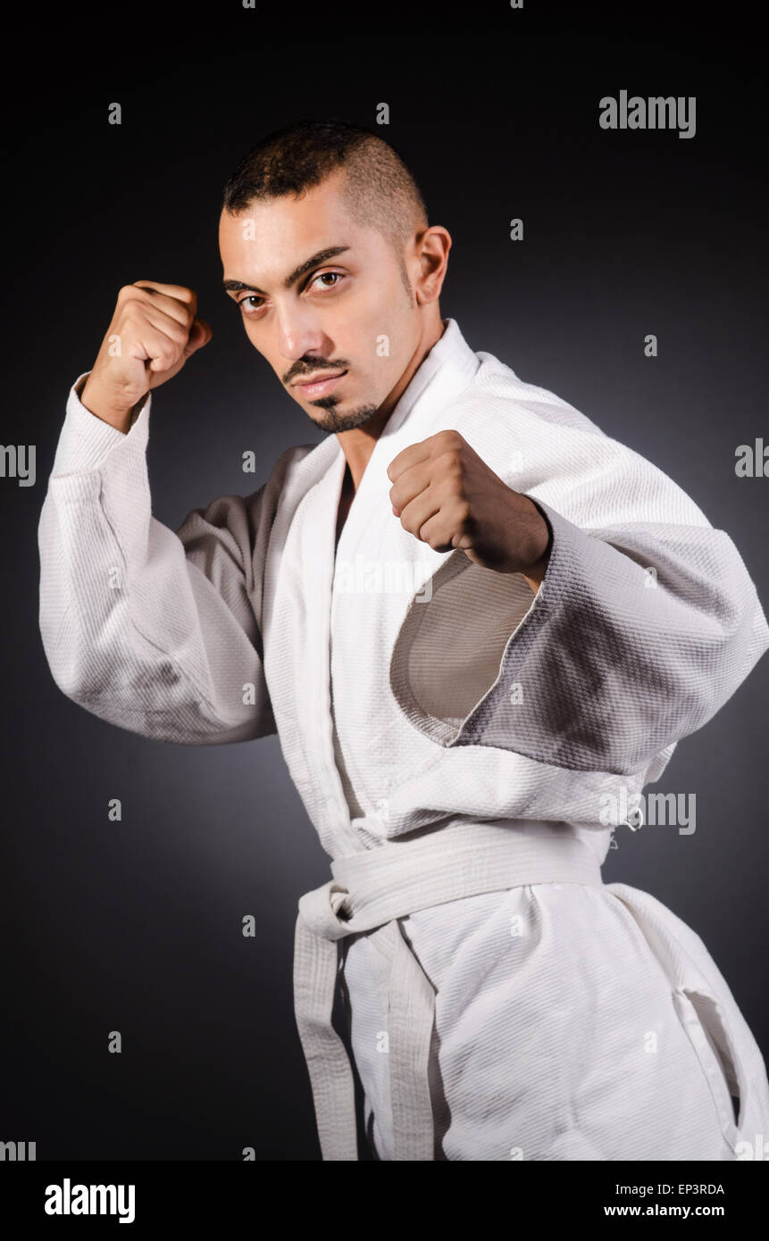 Karate martial arts fighter Stock Photo - Alamy