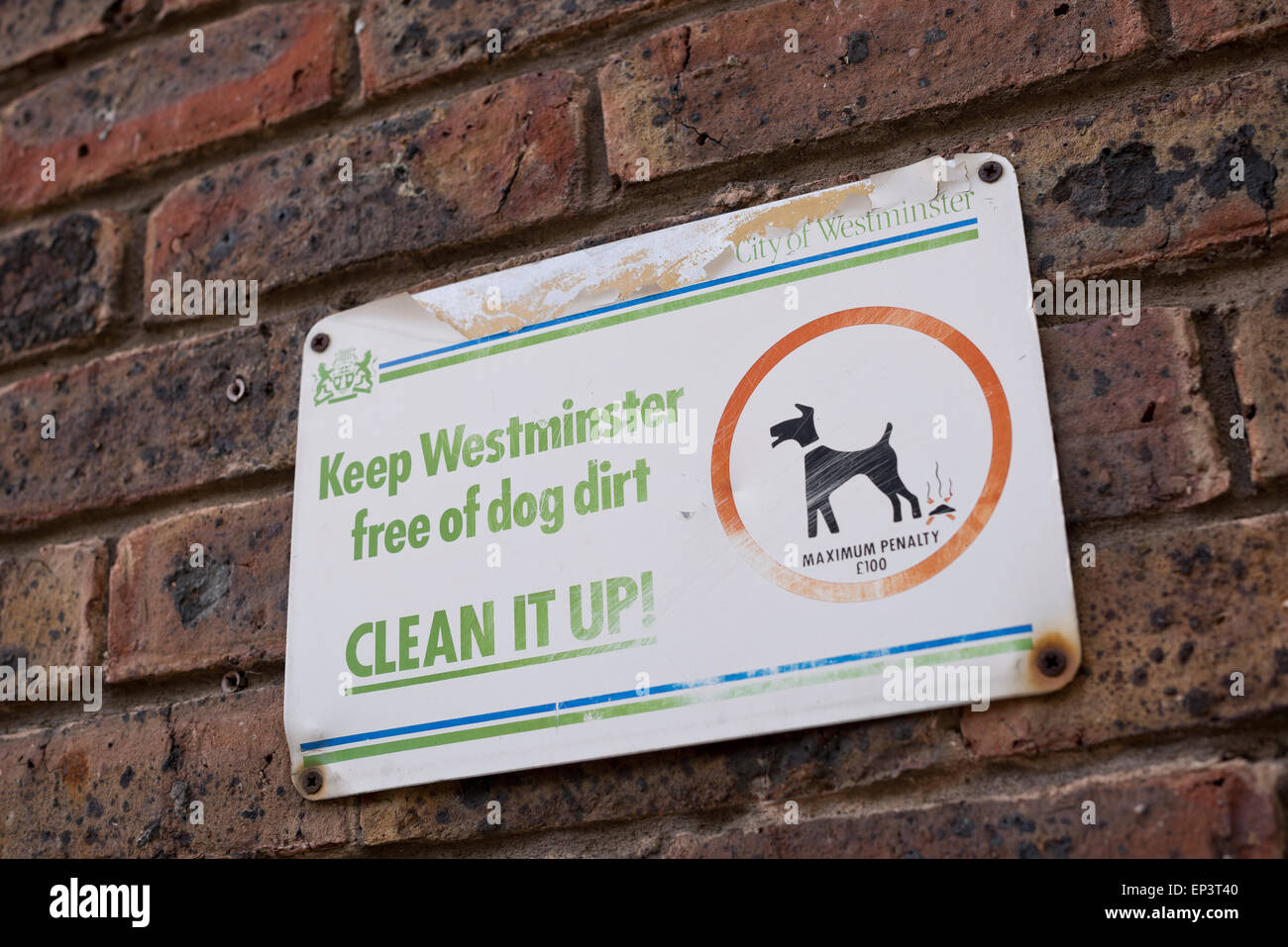 Clean up mess hi-res stock photography and images - Alamy
