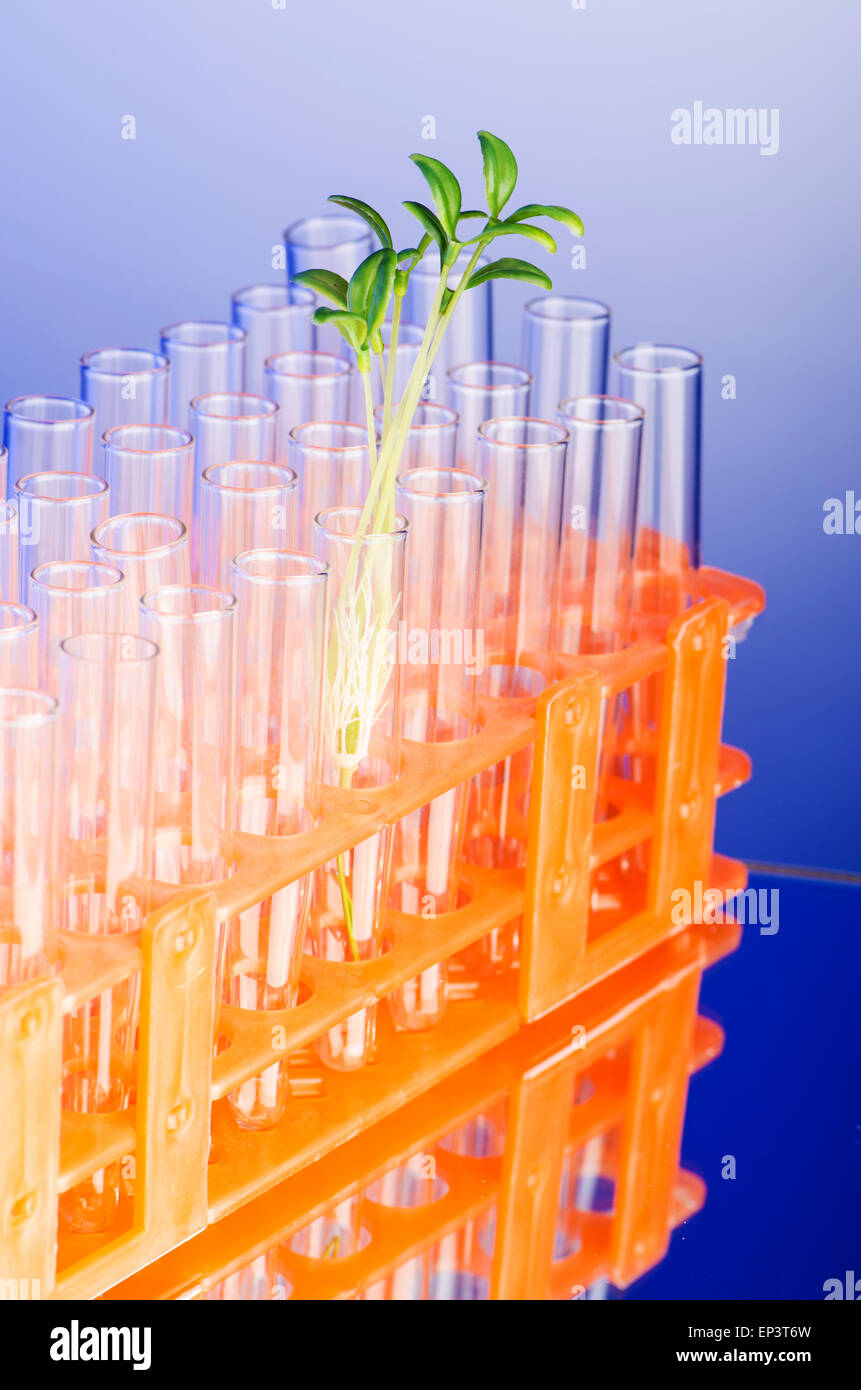 Experiment tree science engineering hi-res stock photography and images ...