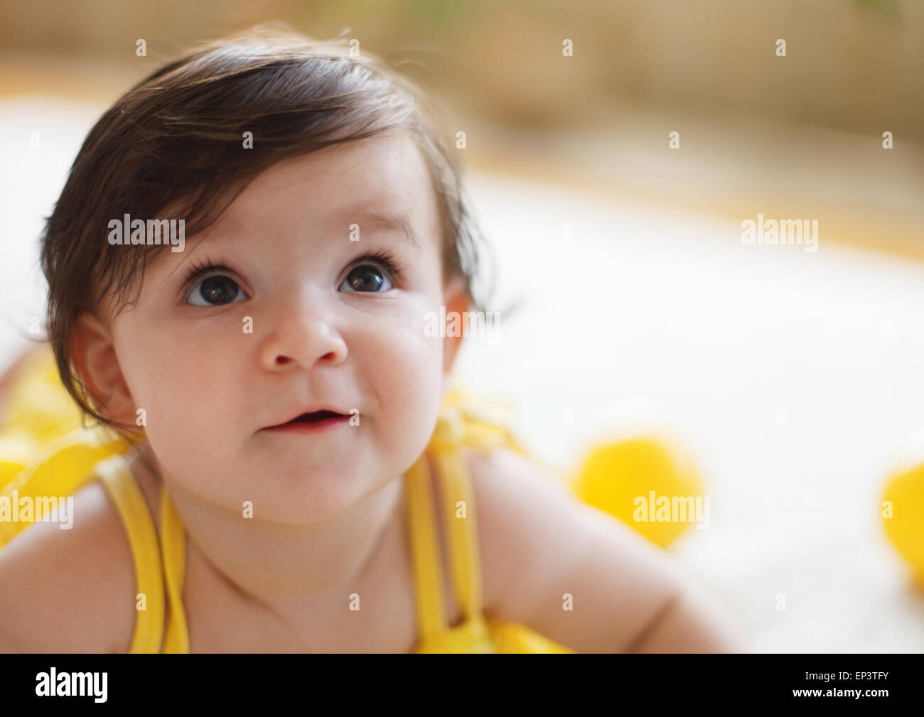 Close up portrait of the eight mounth old baby Stock Photo - Alamy