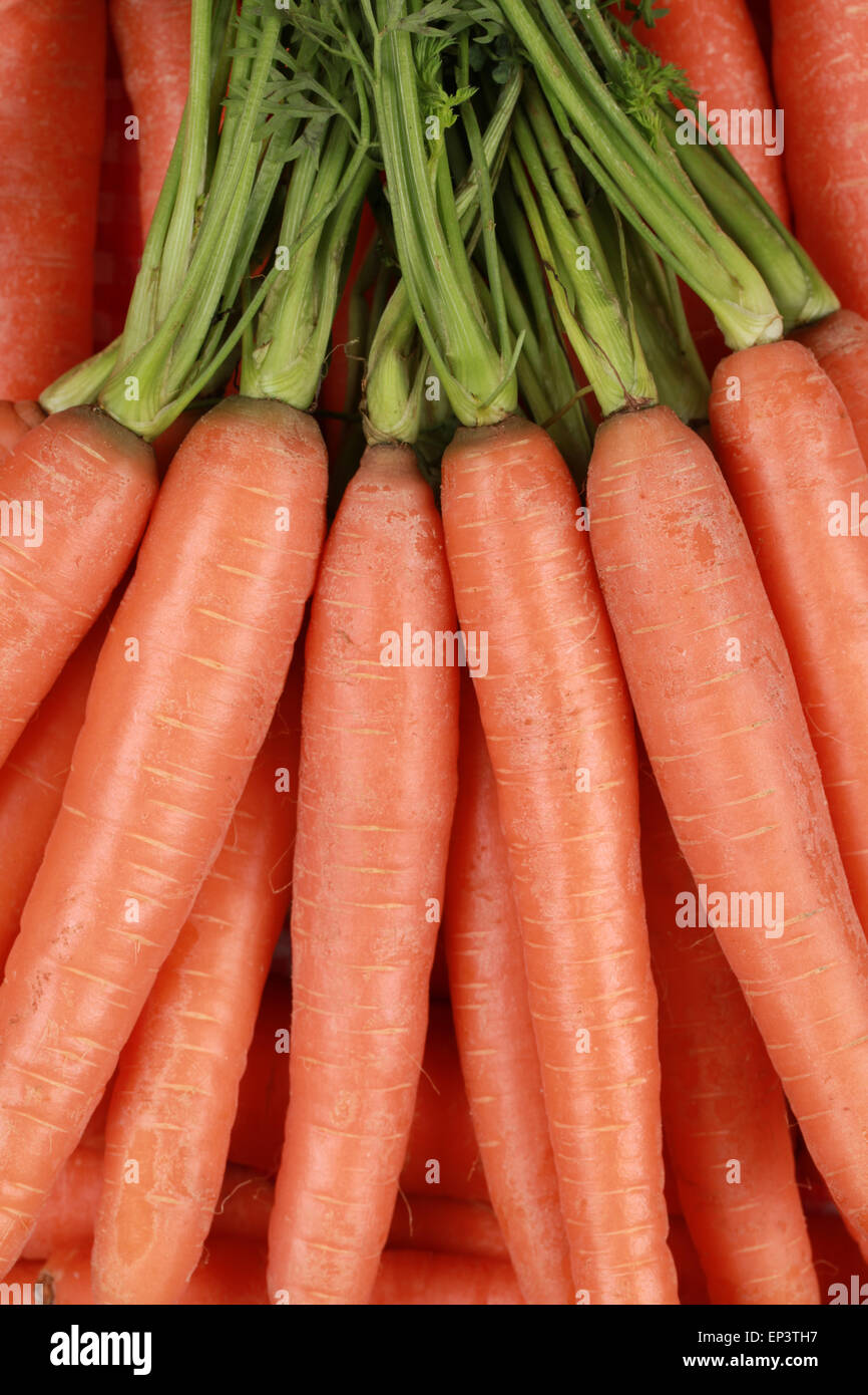 Frisch gepflückte Karotten Stock Photo - Alamy