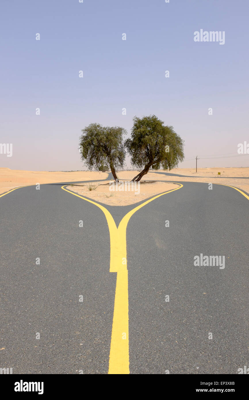 New desert cycle track at Al Qudra in Dubai United Arab Emirates Stock ...