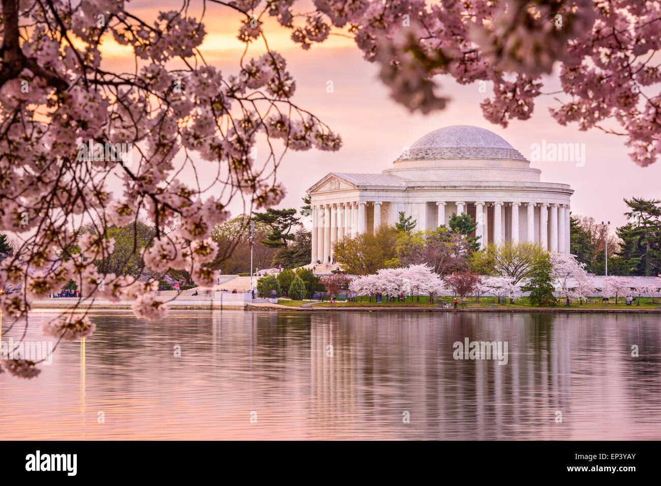 Washington, DC at the Tidal Basin and Jefferson Memorial during spring ...