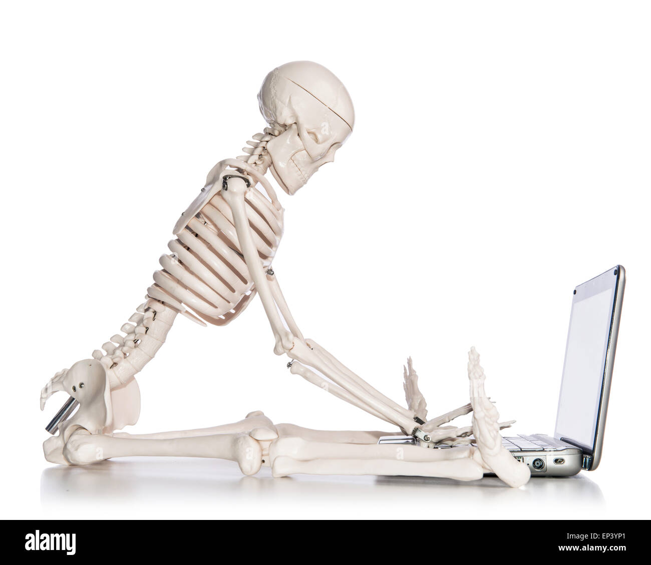 Skeleton working on laptop Stock Photo - Alamy