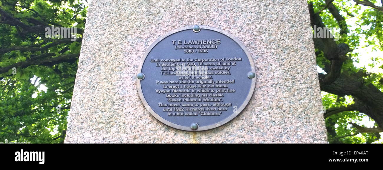 Pole Hill in Epping Forest, famous for T.E. Lawrence and triangulation ...