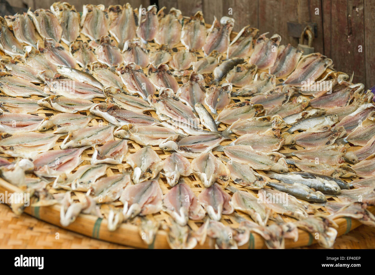 Drying reed hi-res stock photography and images - Alamy