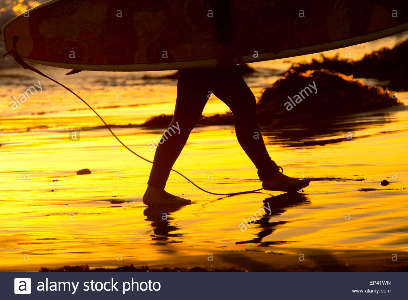 Surfer Close Up High Resolution Stock Photography and Images - Alamy