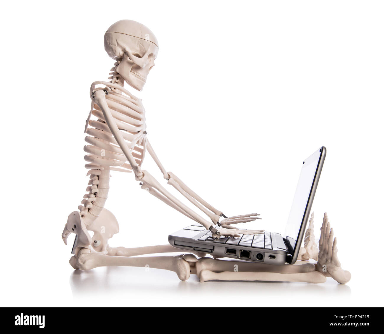 Skeleton working on laptop Stock Photo - Alamy