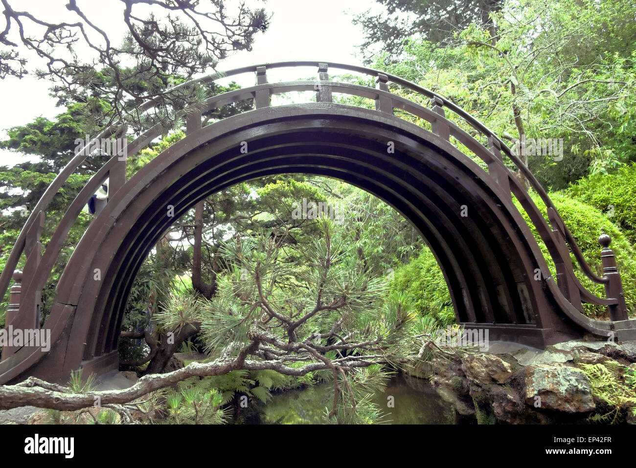 Zen garden golden gate park hi-res stock photography and images - Alamy
