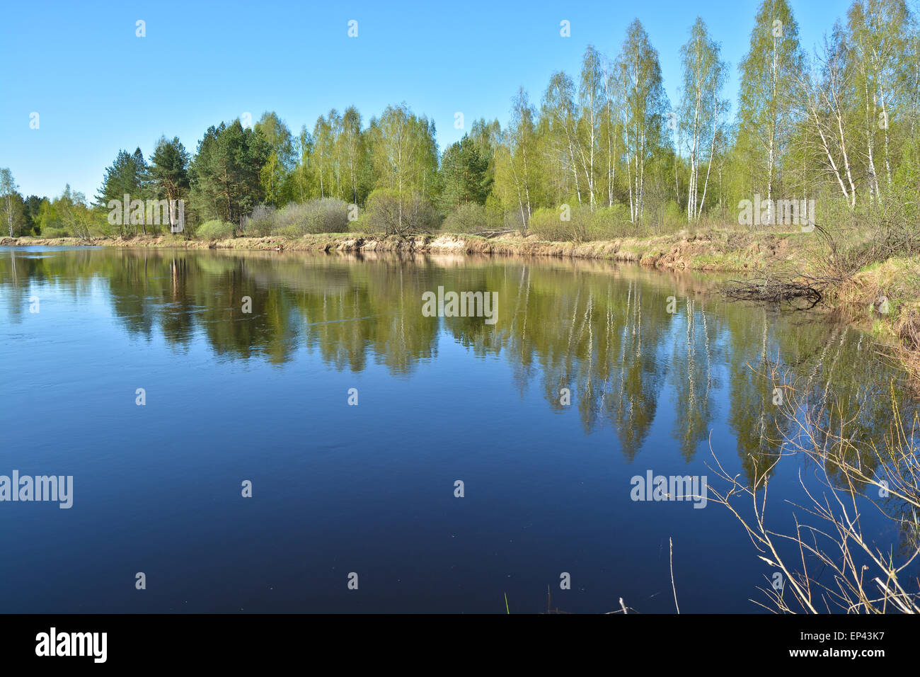 Spring. The river in the national Park "Ryazan Meschera". Spring ...