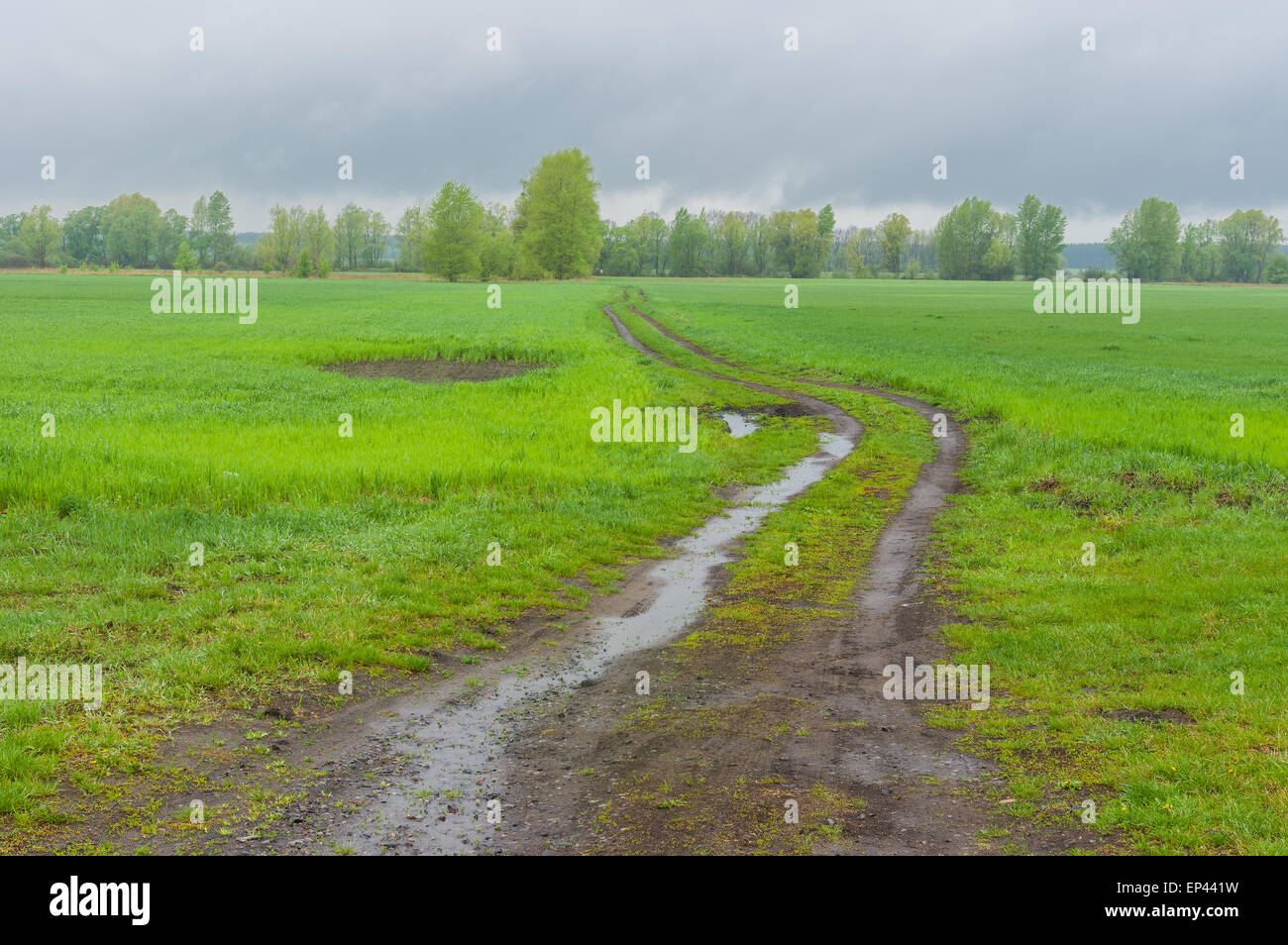 Landscape with agricultural fields and country road in central Ukraine ...
