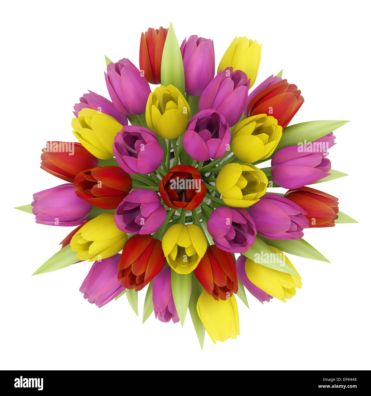 Top view tulips decorative Cut Out Stock Images & Pictures - Alamy