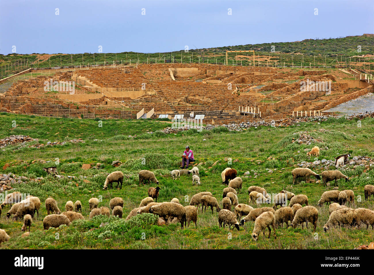 Shepherd in front of the ancient theater of Hephaistia, Lemnos (Limnos ...