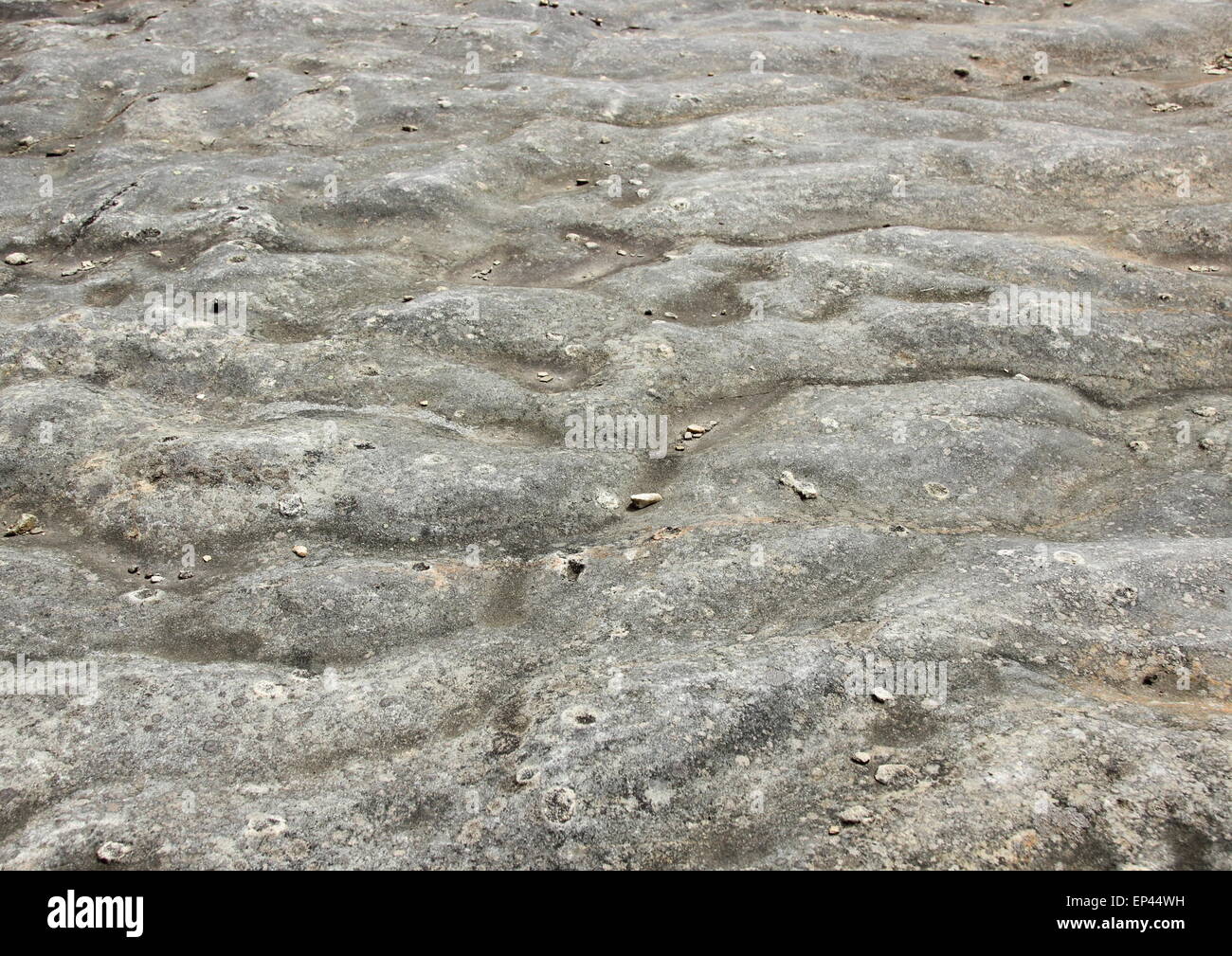 Petrified ocean bottom at island of Bornholm Denmark Stock Photo - Alamy