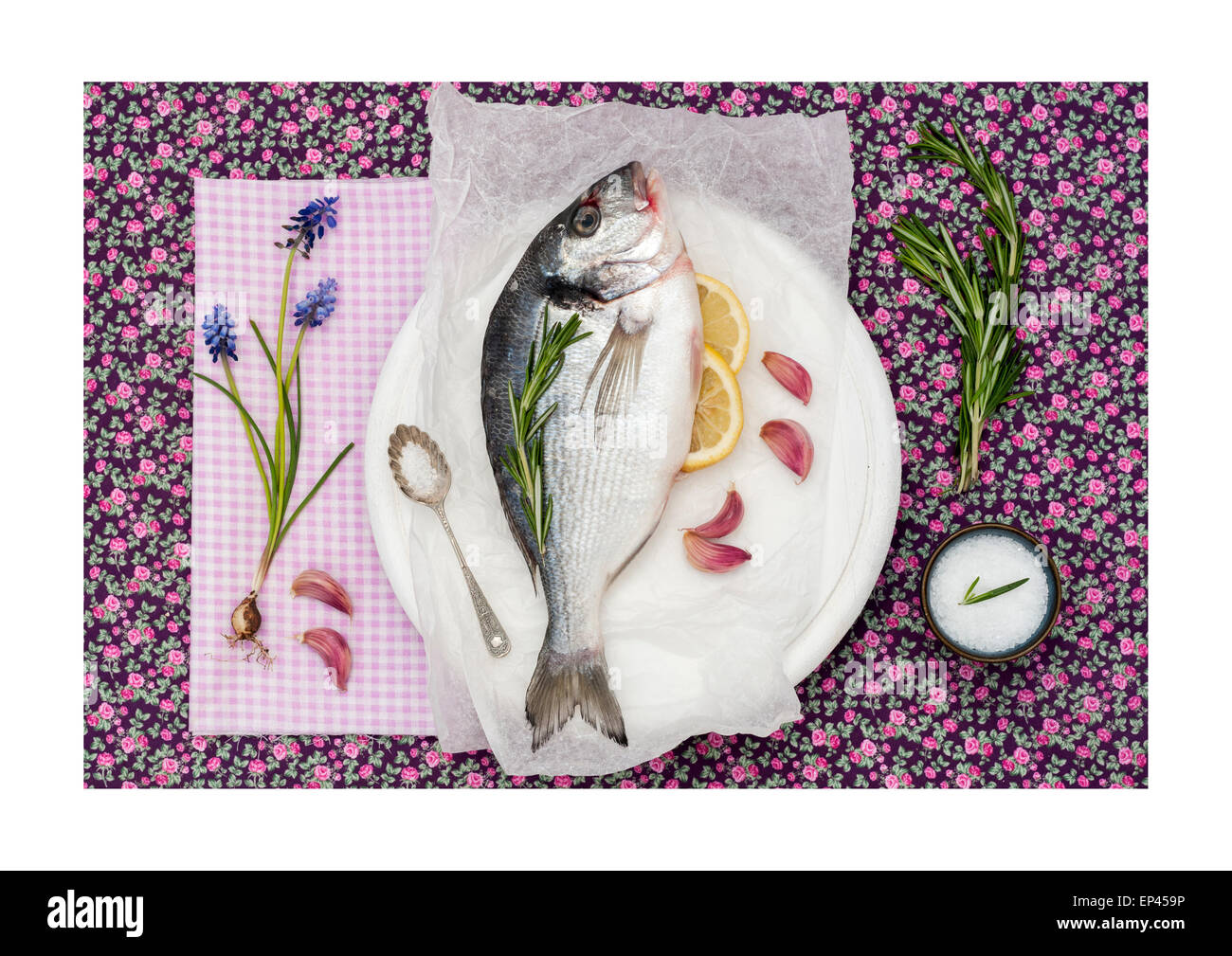 Pink bream Cut Out Stock Images & Pictures - Alamy