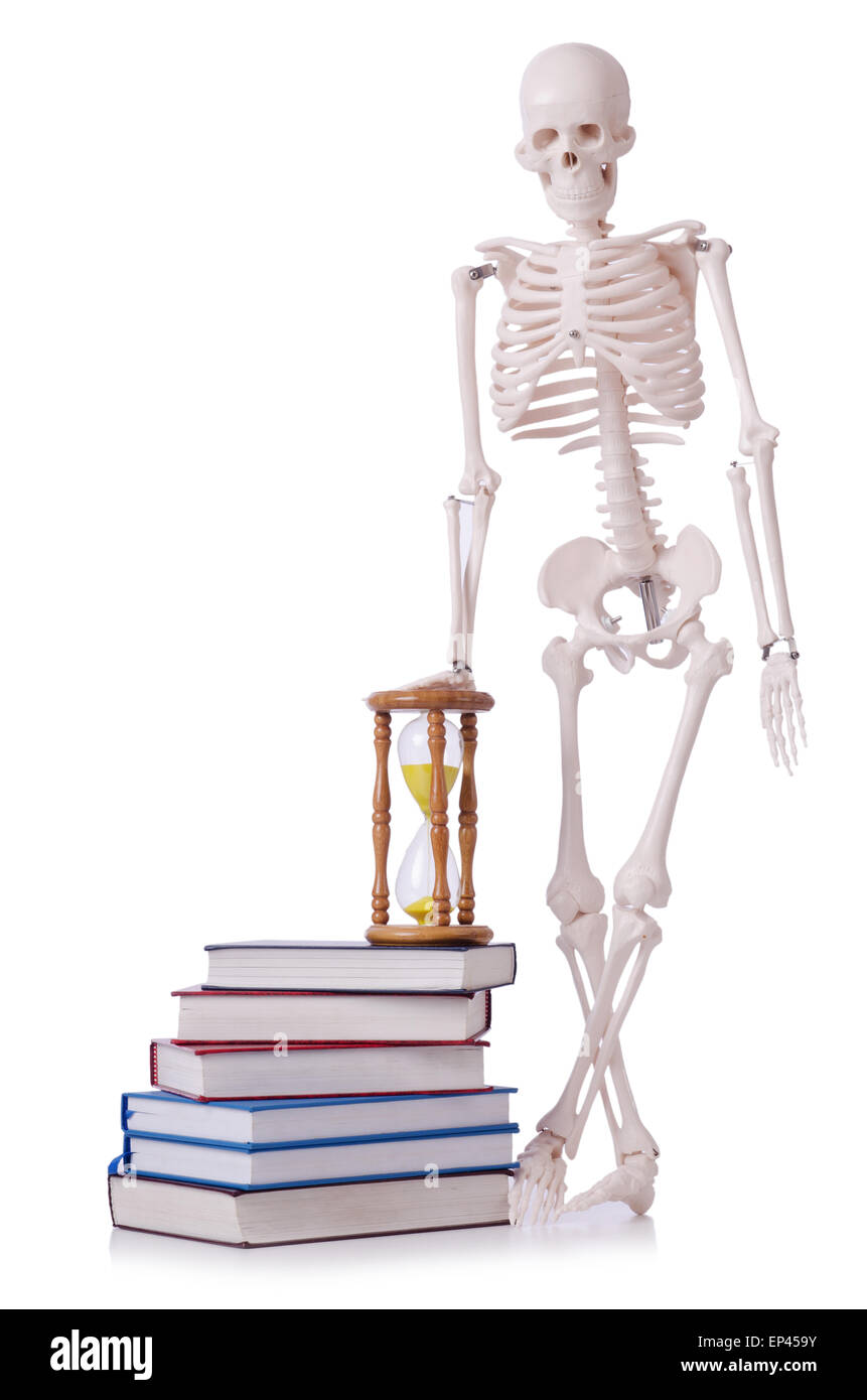 Skeleton reading books on white Stock Photo - Alamy