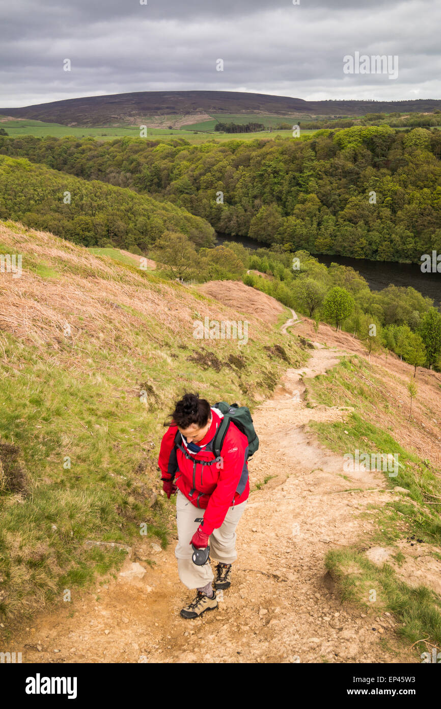 Rambler walking up steep hillside Stock Photo - Alamy