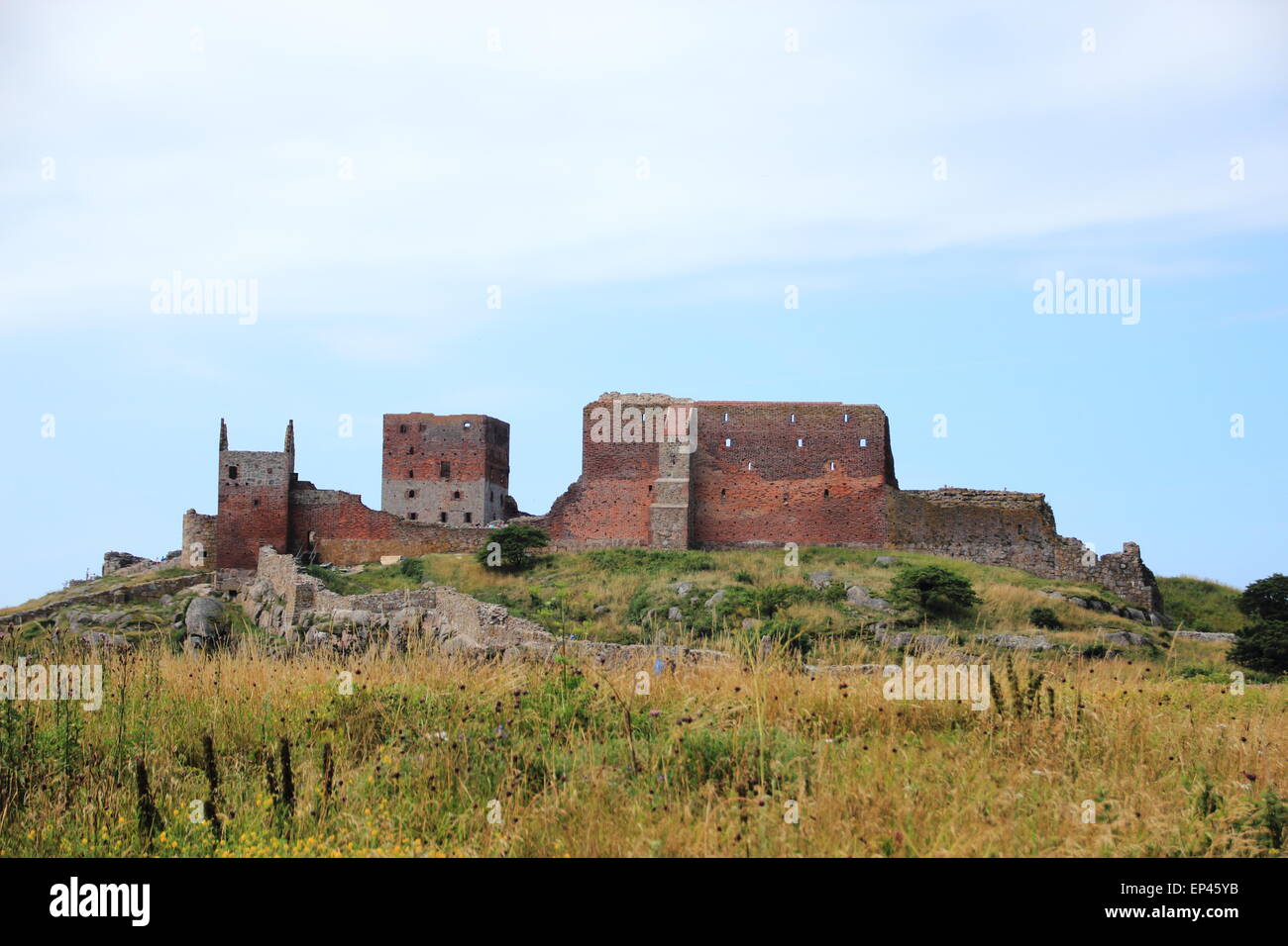 Landscape view of Hammershus Castle ruin Denmark Stock Photo - Alamy